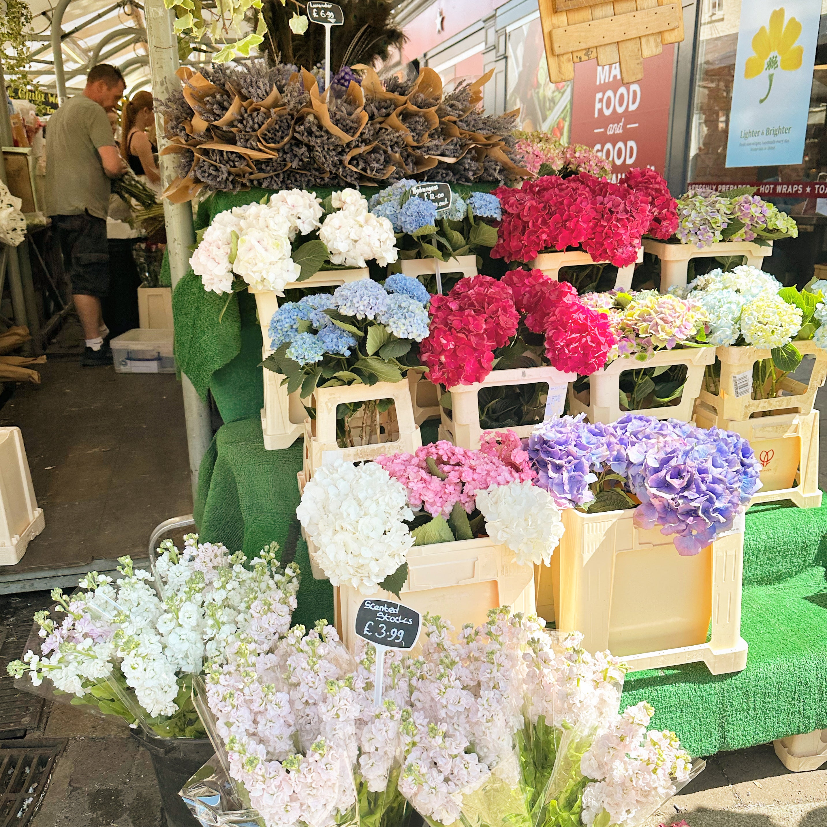 Family Trip Summer in UK Ver.1 Our summer shop will open in 2 days in